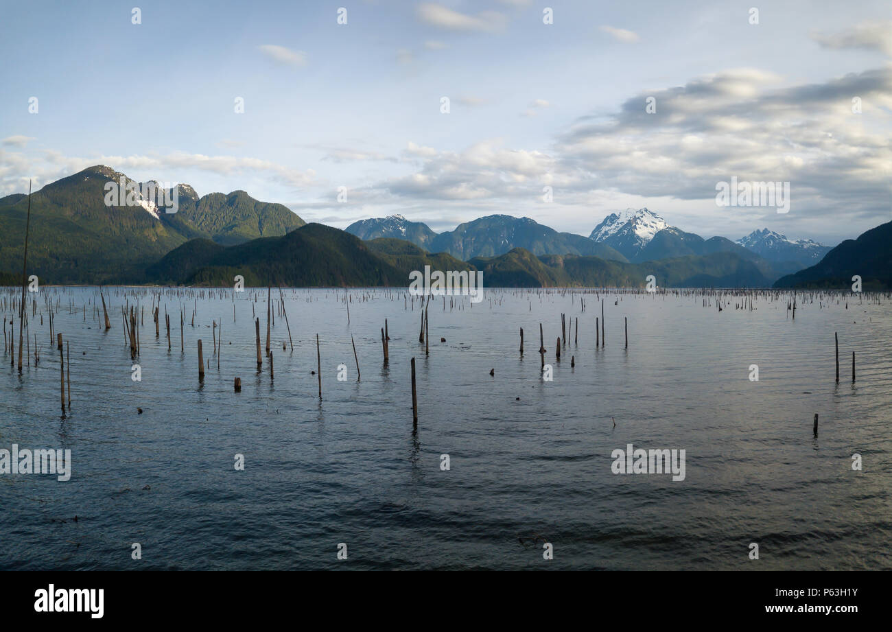 Stave lake bc hi-res stock photography and images - Alamy