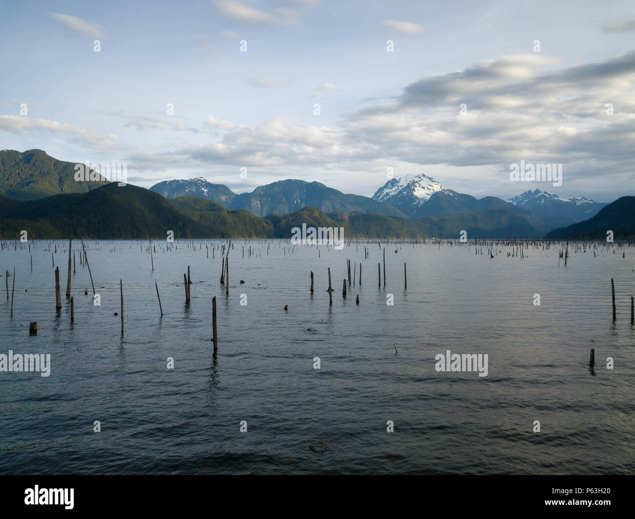 Stave lake bc hi-res stock photography and images - Alamy