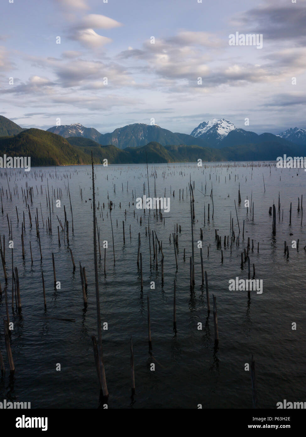 Stave lake bc hi-res stock photography and images - Alamy