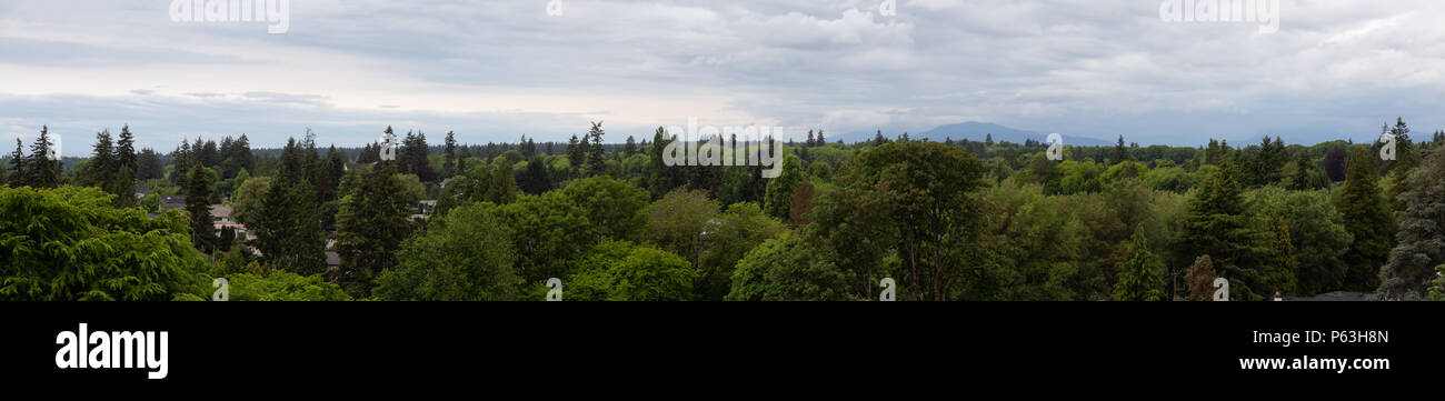 Aerial panoramic view above the treeline of a quiet neighborhood in ...
