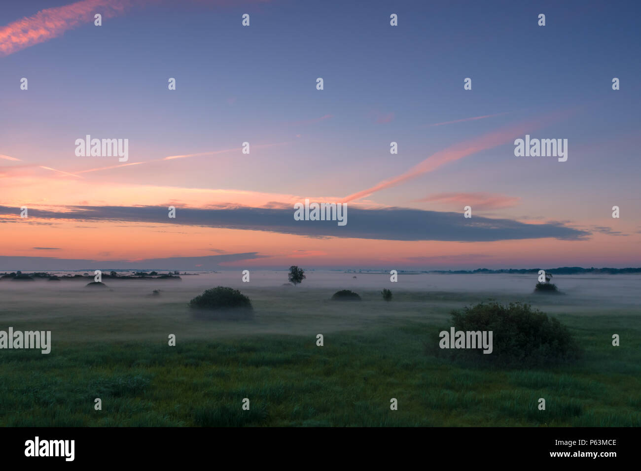 Natural Park of Biebrza Valley - sunrise over medow and pool Stock ...