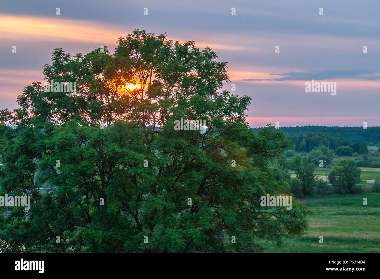 Natural Park of Biebrza Valley - sunrise over medow and pool Stock ...