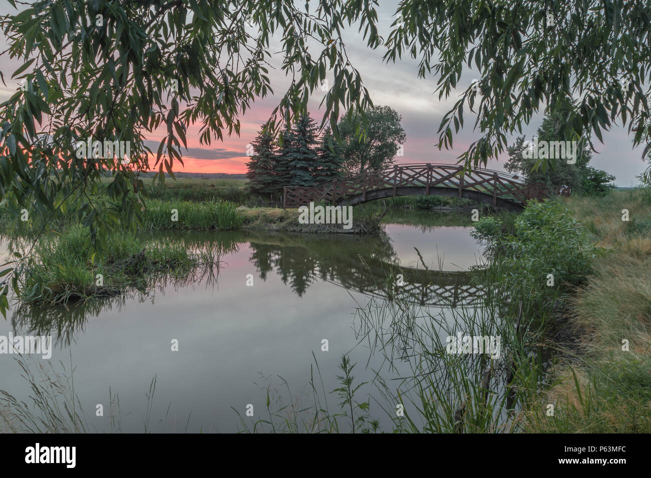 Natural Park of Biebrza Valley - sunrise over medow and pool Stock ...