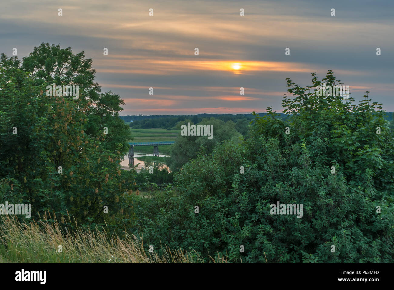 Natural Park of Biebrza Valley - sunrise over medow and pool Stock ...