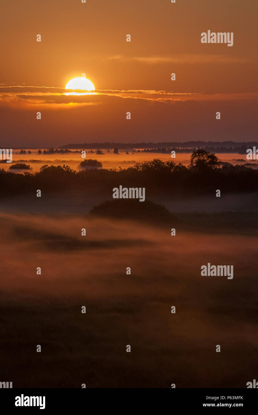 Natural Park of Biebrza Valley - sunrise over medow and pool Stock ...
