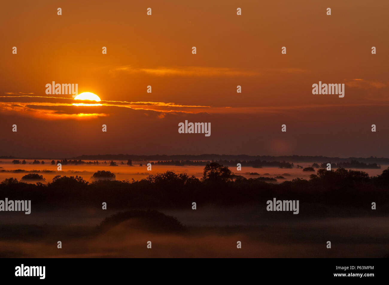 Natural Park of Biebrza Valley - sunrise over medow and pool Stock ...