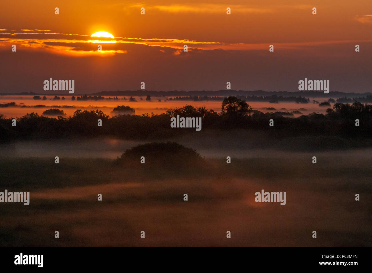 Natural Park of Biebrza Valley - sunrise over medow and pool Stock ...