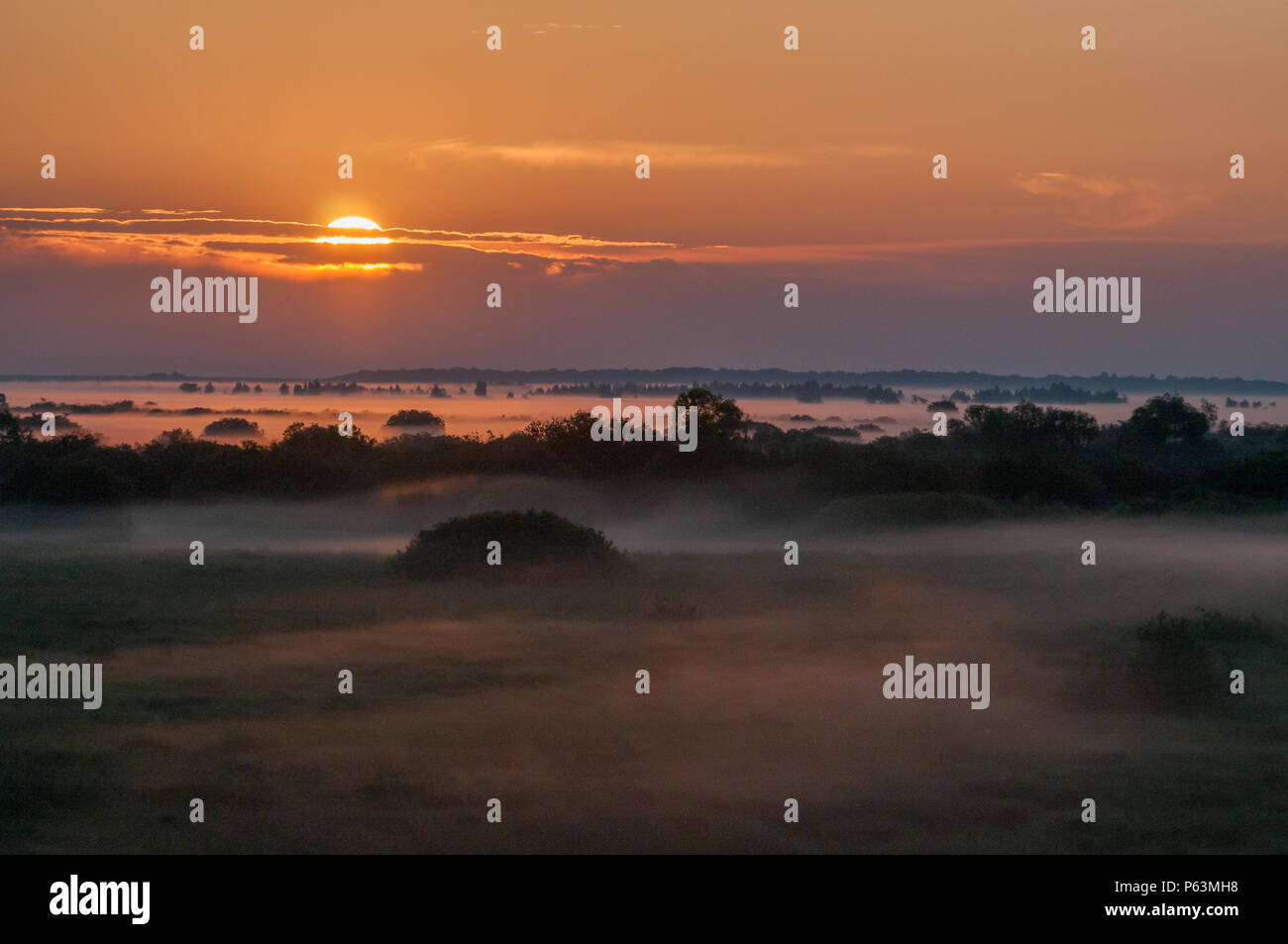 Natural Park of Biebrza Valley - sunrise over medow and pool Stock ...
