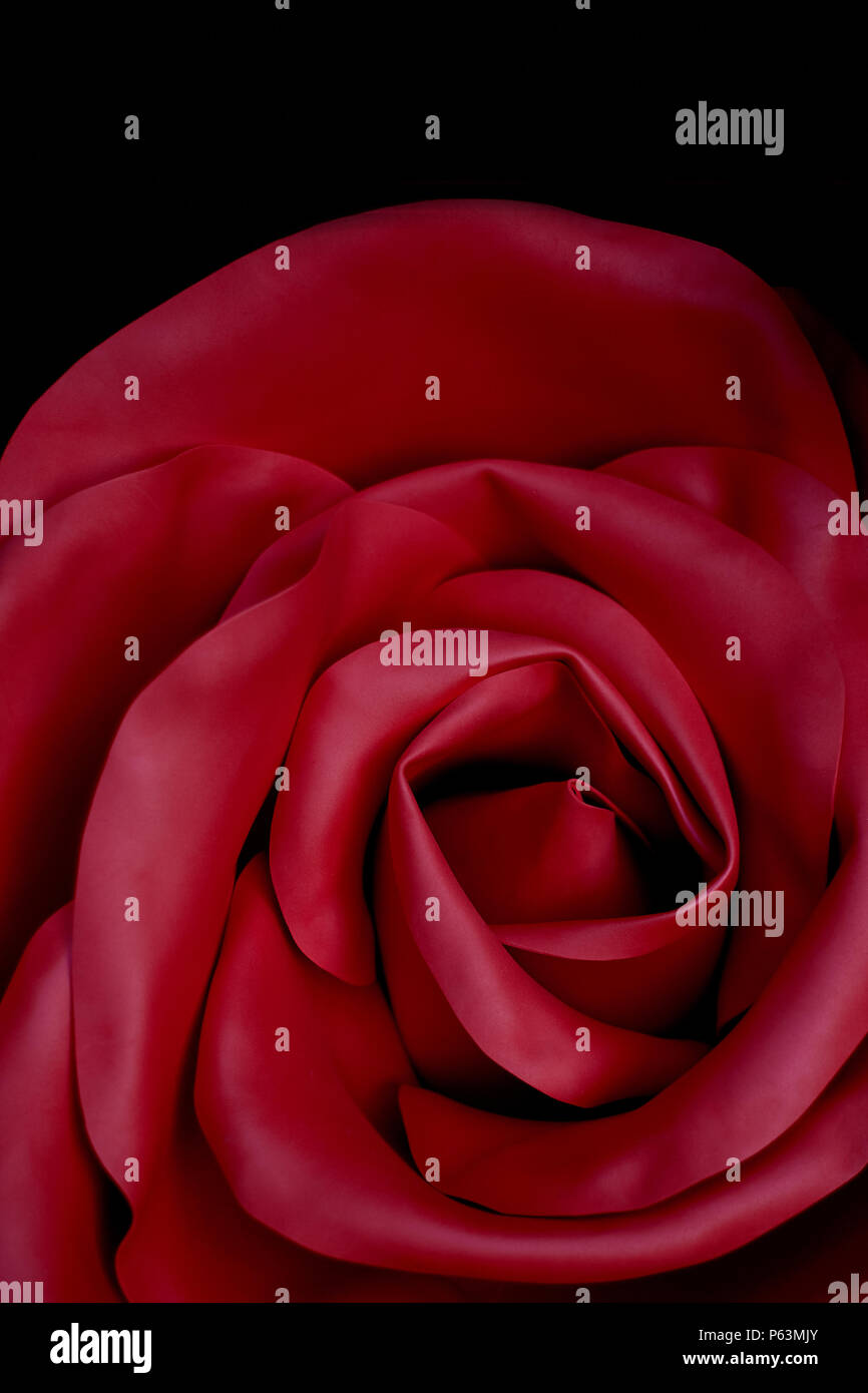 Red rose made of neoprene or artificial leather. Texture close Stock ...