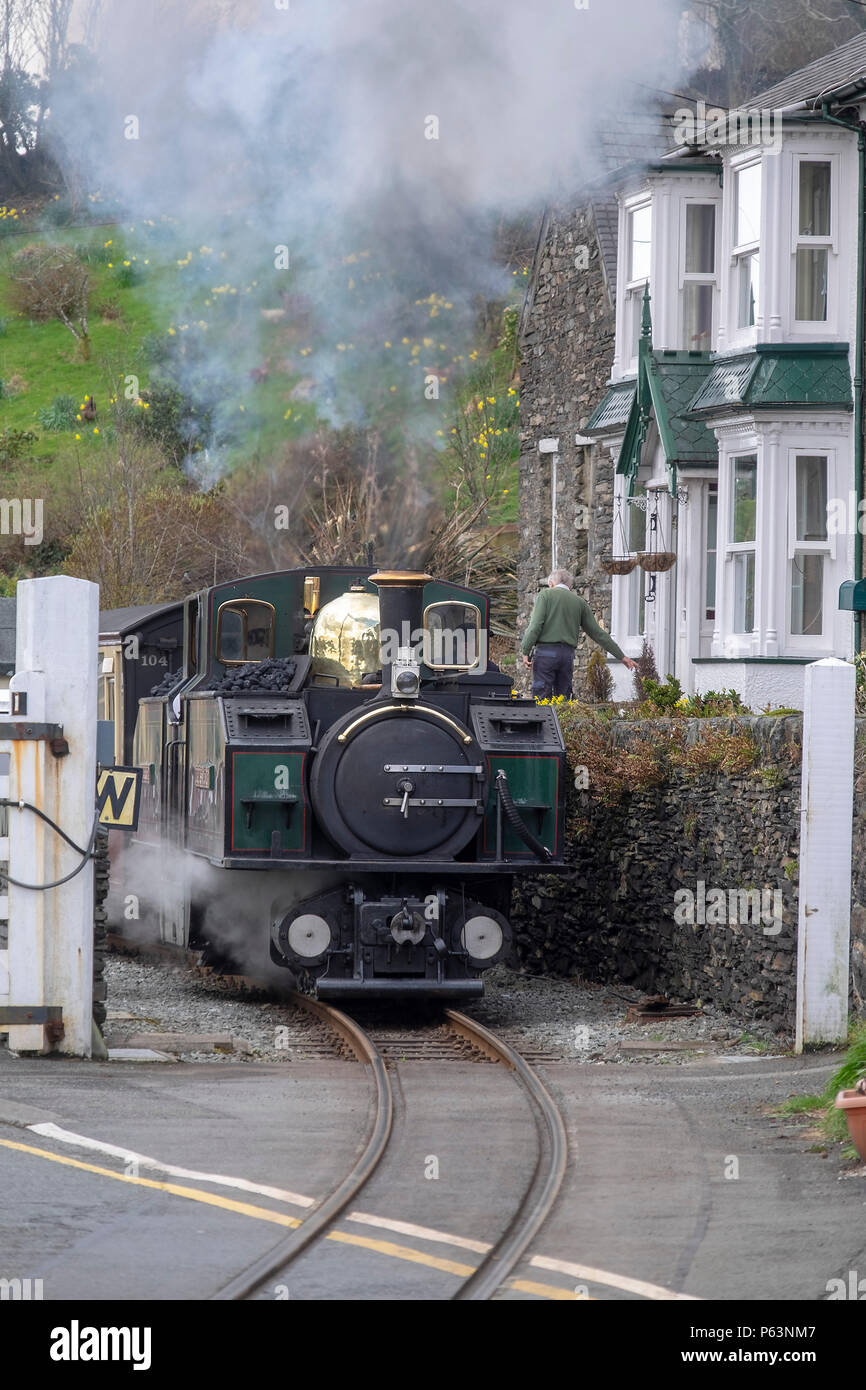 Farlie narrow gauge steam loco on the Ffestiniog railway Stock Photo ...