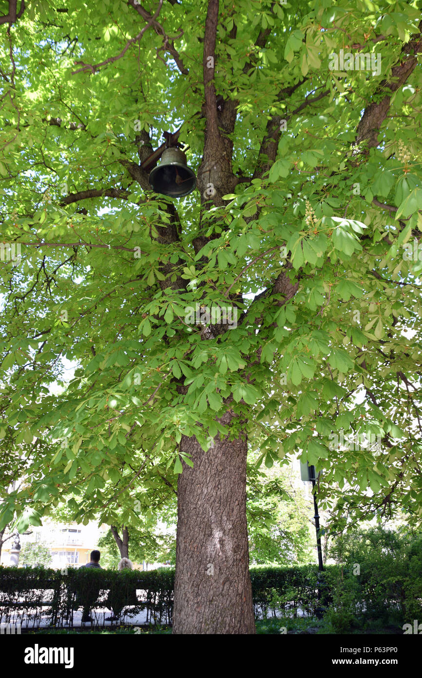 Leaf tower hi-res stock photography and images - Alamy