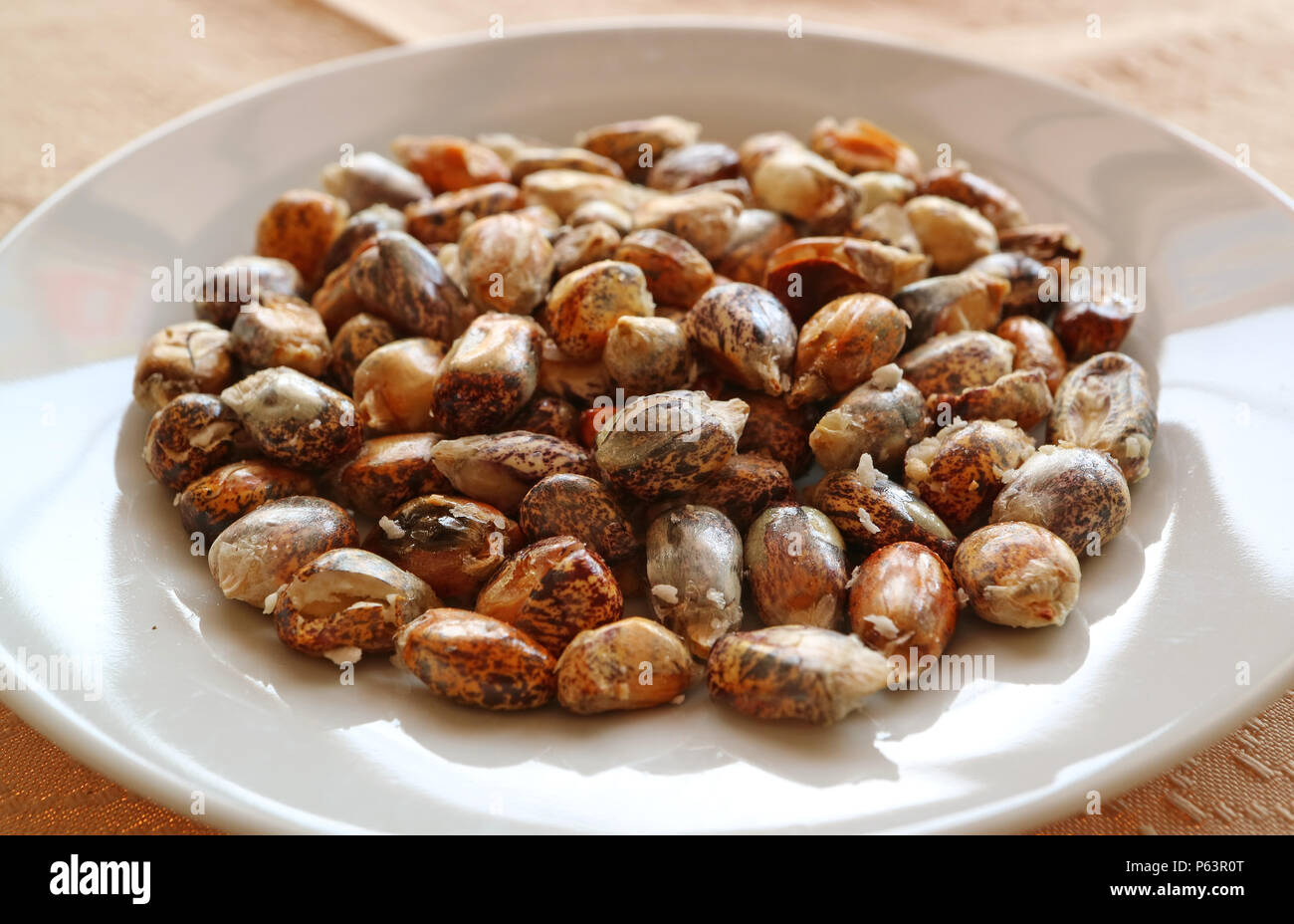 Cancha, Andean toasted Chulpe corn with salt, popular tasty corn snack ...