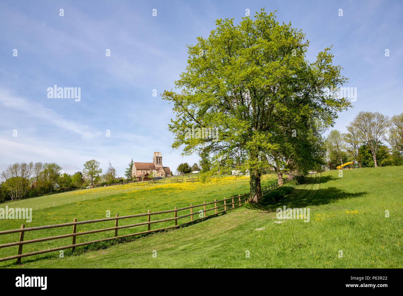 Parc normandie maine hi-res stock photography and images - Alamy