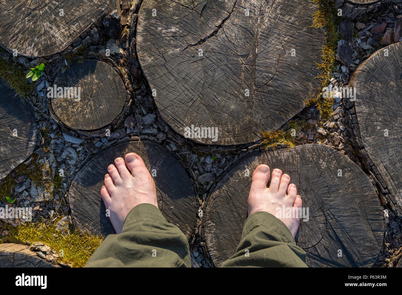 Top view of a man's barefoot feet on flat old tree trunks - barefoot ...