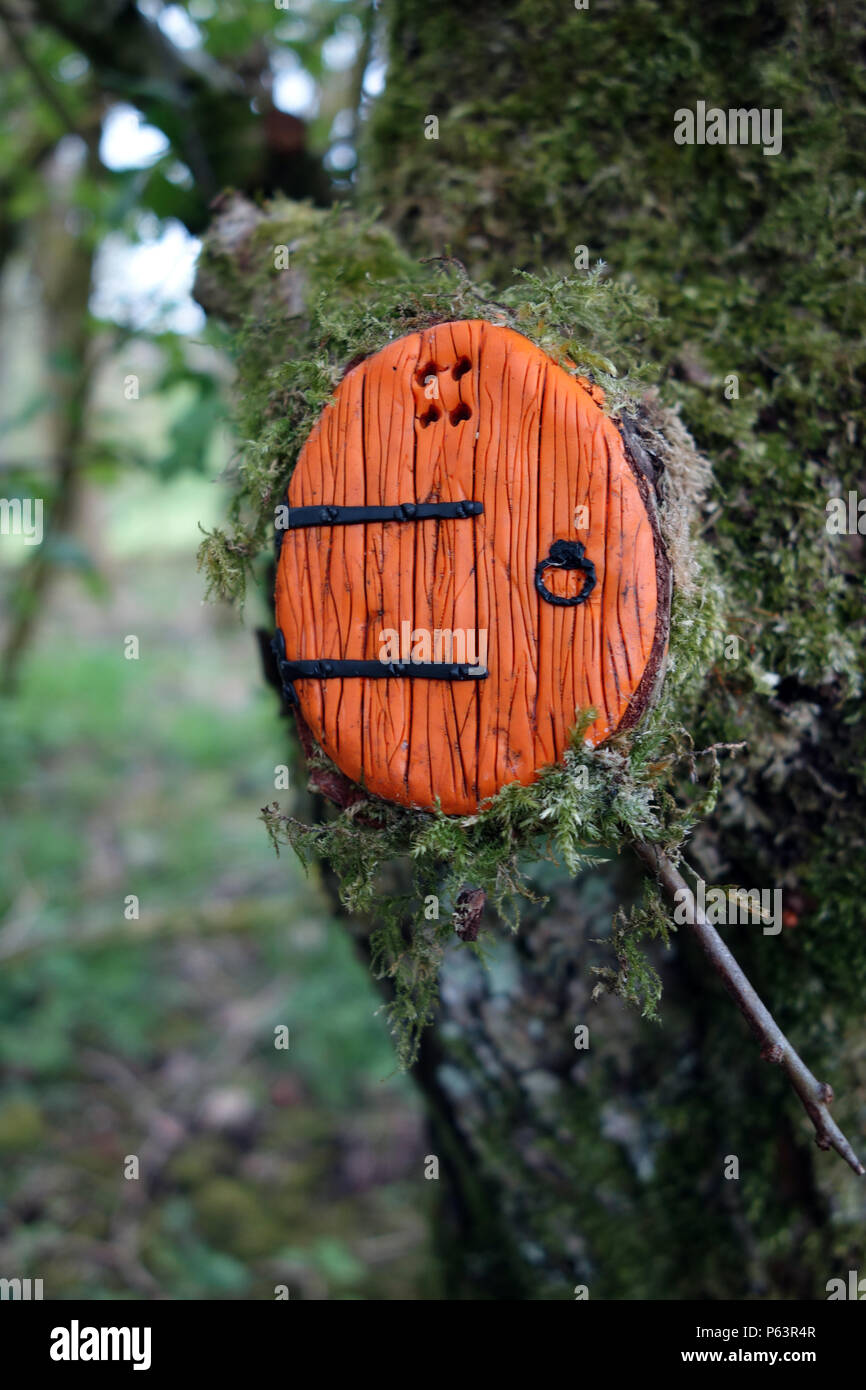 Orange Fairy Door in a Tree in the Woods at Wycoller Country Park ...