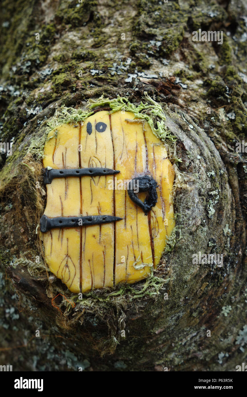 Yellow Fairy Door in a Tree in the Woods at Wycoller Country Park ...