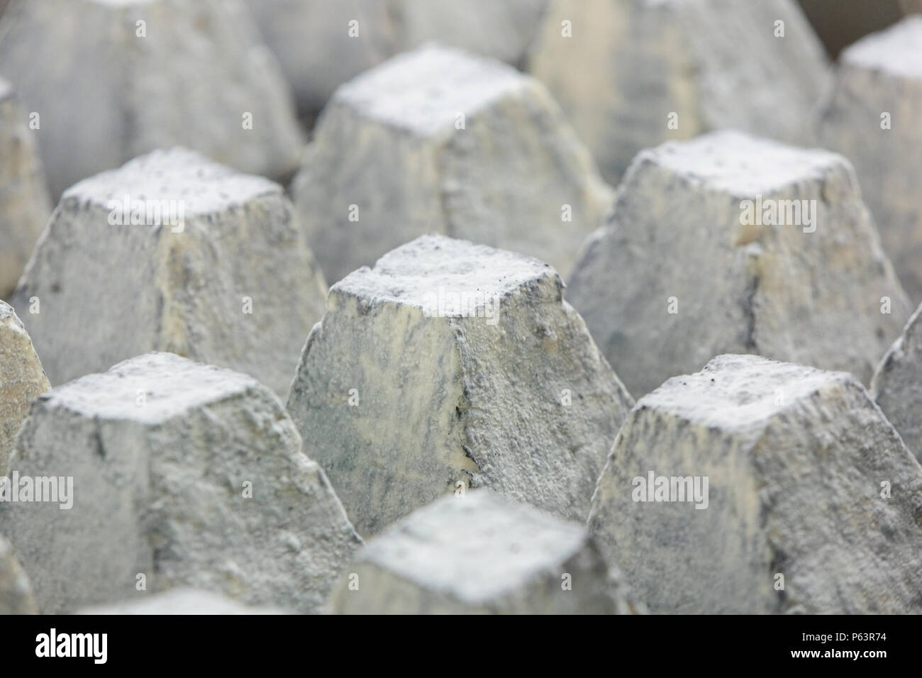 Making traditional French Valencay goat's cheese Stock Photo - Alamy