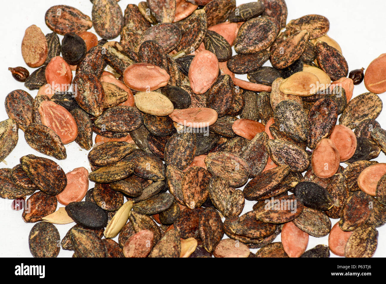 Seeds of watermelon on a white background. watermelon seeds for sowing ...