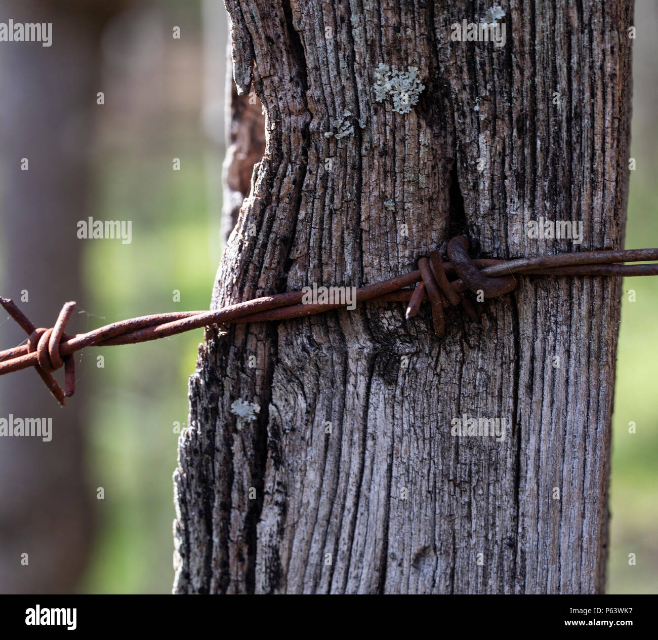 Hanging wire vertical hi-res stock photography and images - Alamy