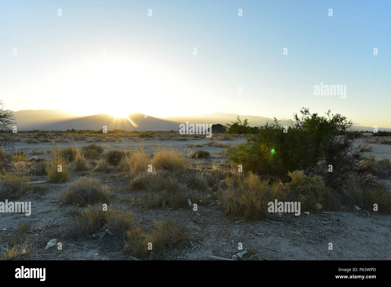 Mojave Desert landscape morning Pahrump, Nevada, USA Stock Photo - Alamy