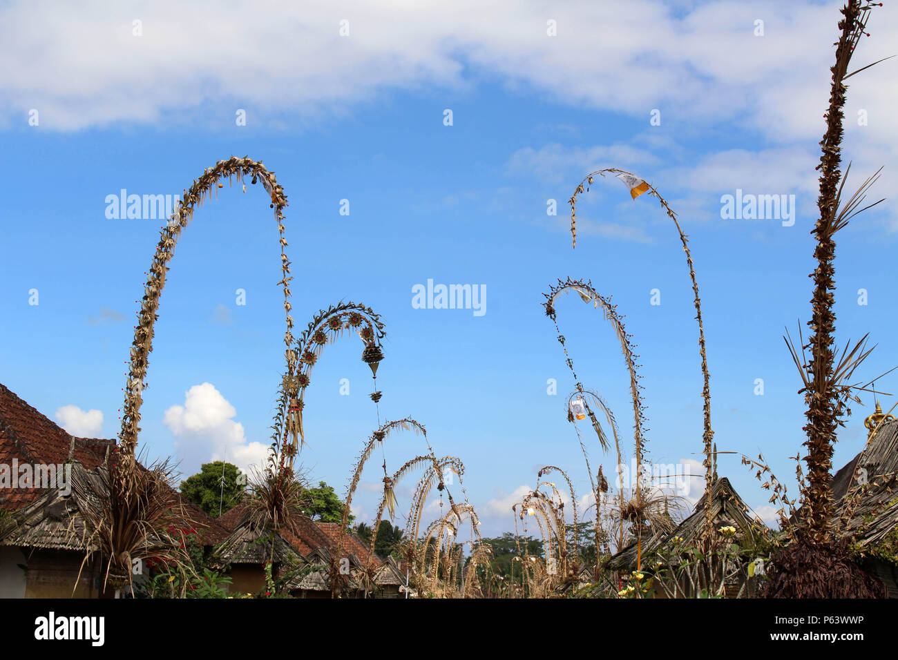 Around Penglipuran village, one iconic traditional neighborhood full of ...