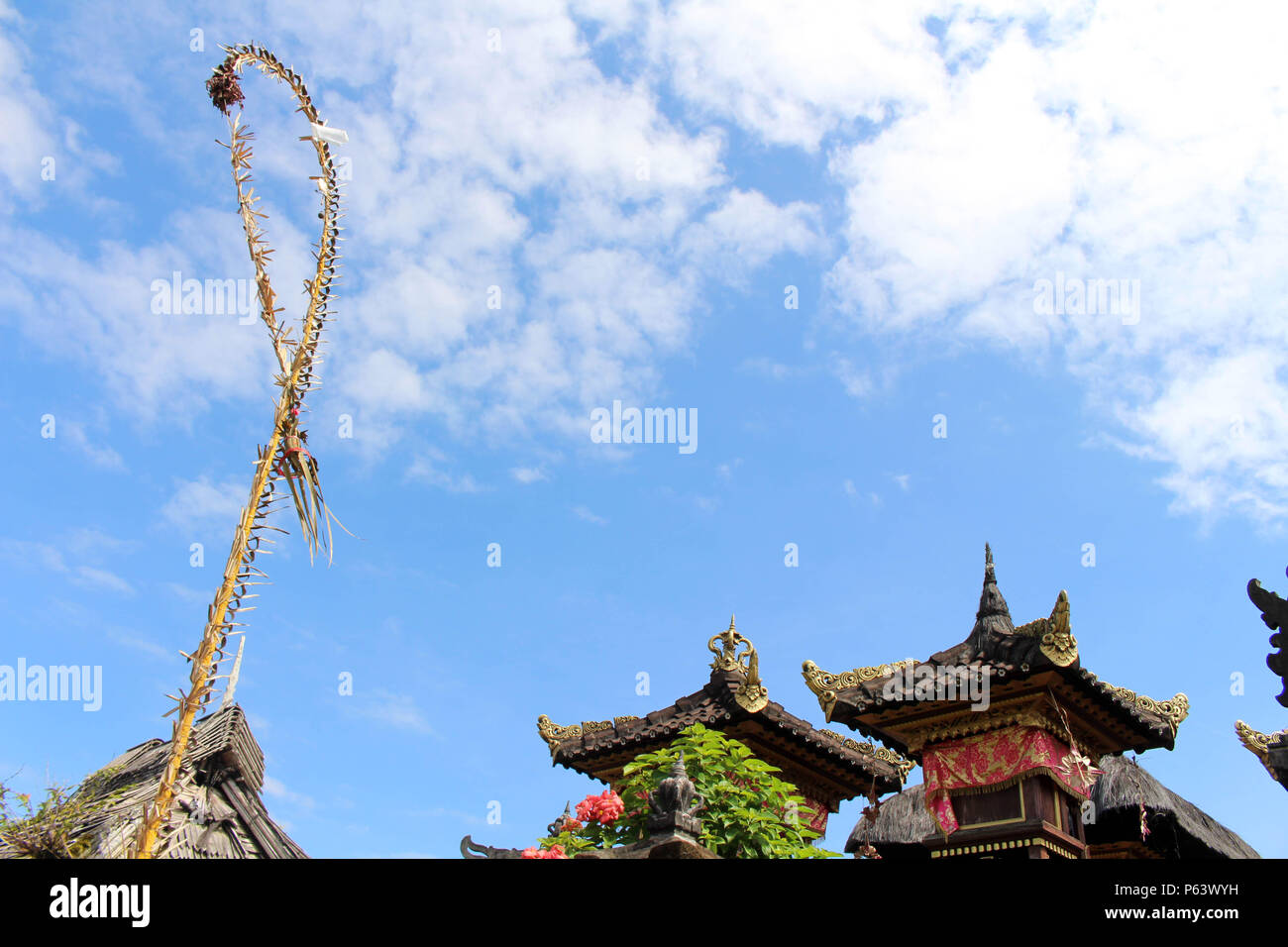 Around Penglipuran village, one iconic traditional neighborhood full of ...