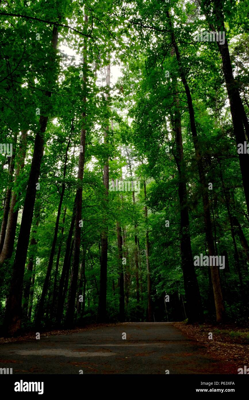 Raleigh north carolina trail hi-res stock photography and images - Alamy