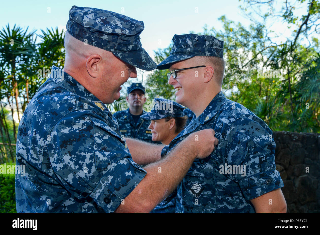 Enlisted information dominance warfare specialist pin hi-res stock ...