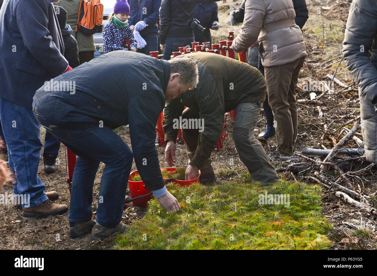 Volunteers pick out their plants, grab the pottiputki, which is a ...