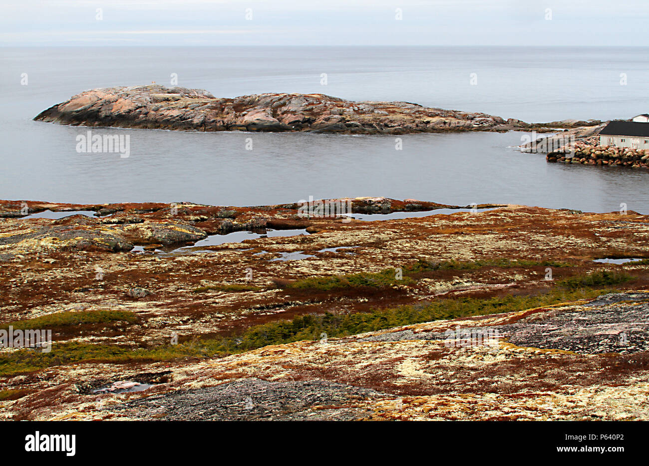 Landscape scenery in Labrador, Canada Stock Photo - Alamy
