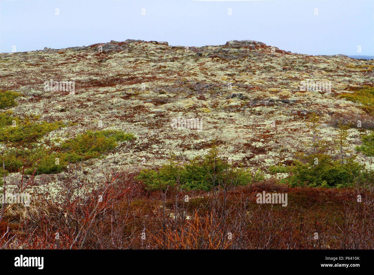 Landscape scenery in Labrador, Canada Stock Photo - Alamy