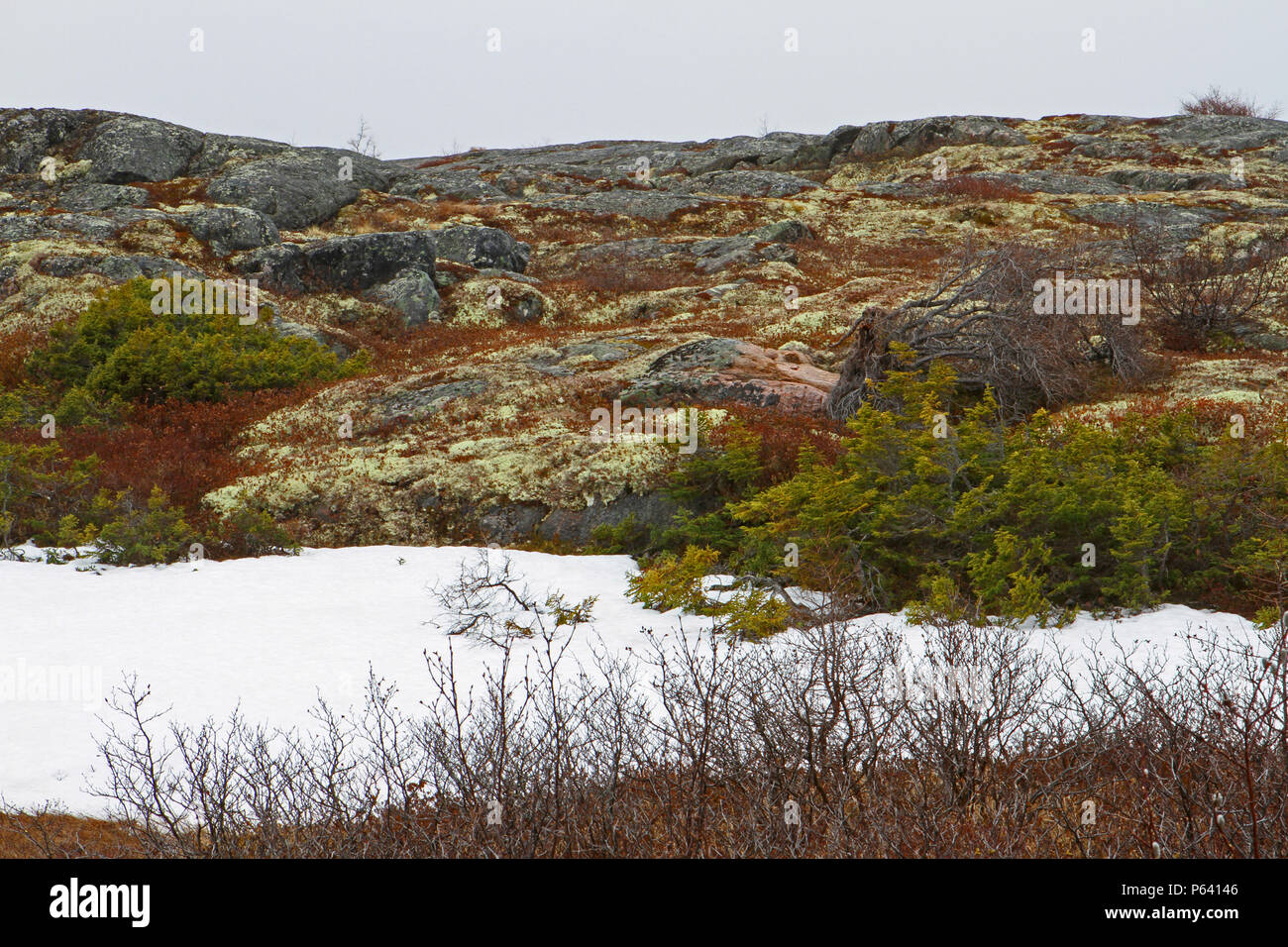 Landscape scenery in Labrador, Canada Stock Photo - Alamy