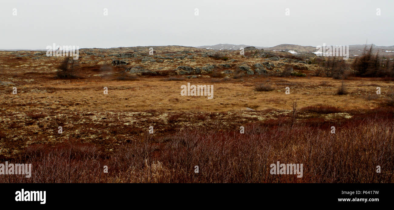 Refreshingenvironment hi-res stock photography and images - Alamy