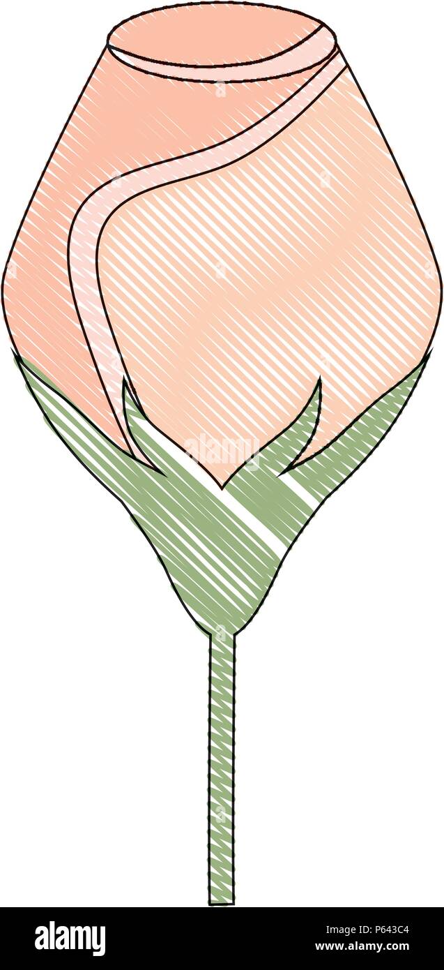 delicate decorative natural ornate flower vector illustration drawing ...