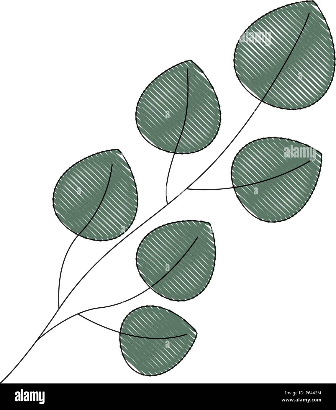 branch foliage leaves natural botanical vector illustration drawing ...