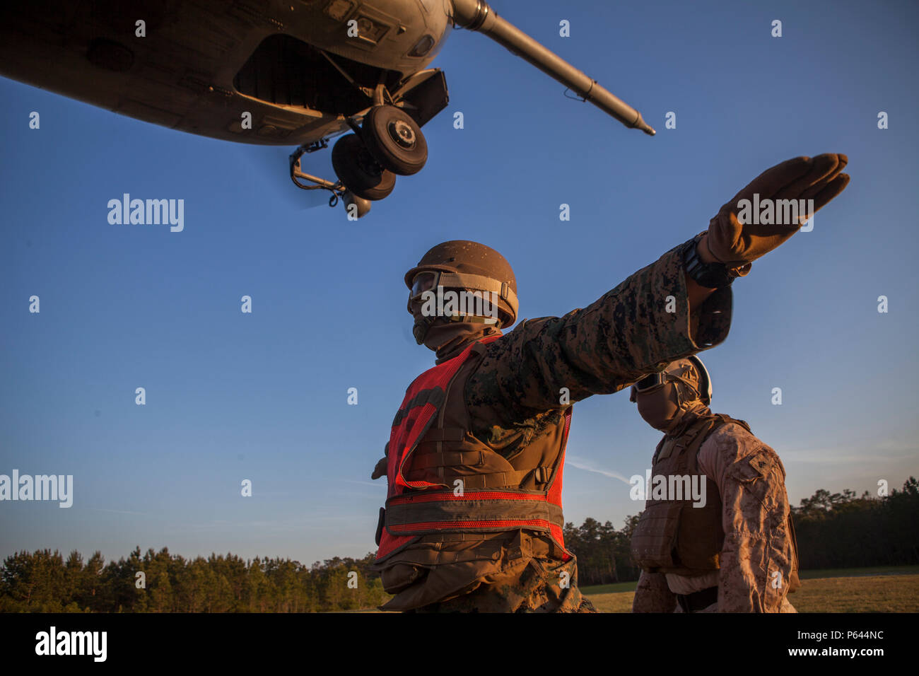 Hand stallion team hi-res stock photography and images - Alamy