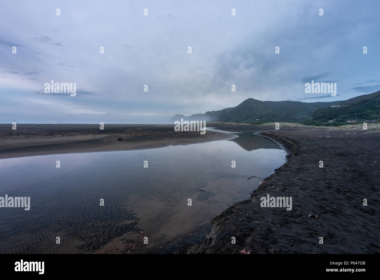 Auckland west coast hi-res stock photography and images - Alamy