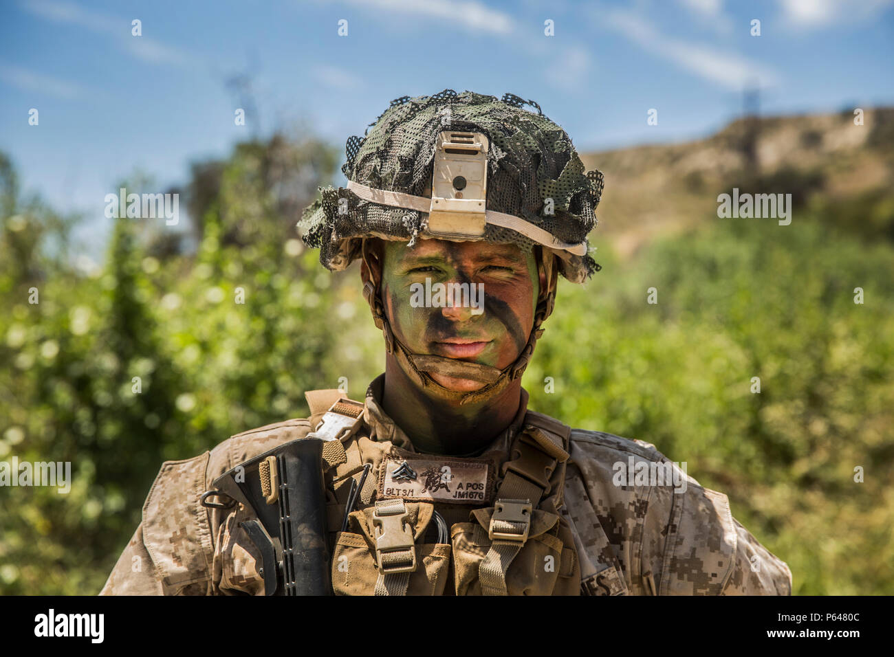 Trained brahma bull hi-res stock photography and images - Alamy