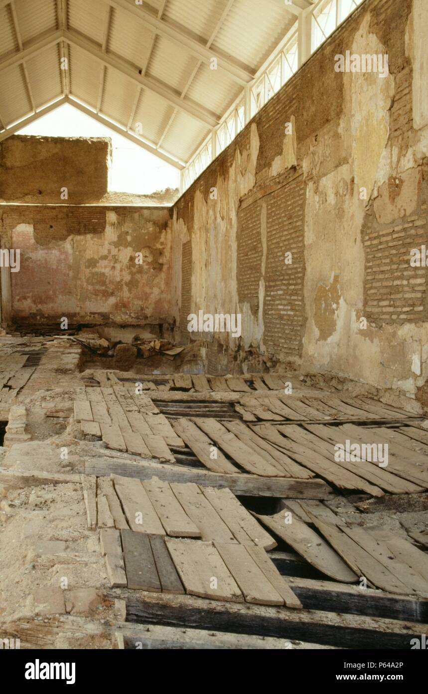 RUINAS DEL MARISTAN DE GRANADA. HOSPITAL O ASILO DE ALIENADOS ...