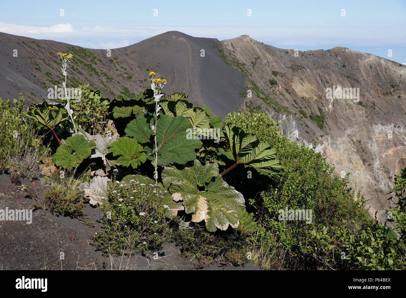 Irazu Volcano, Cartago Province, Costa Rica Stock Photo - Alamy