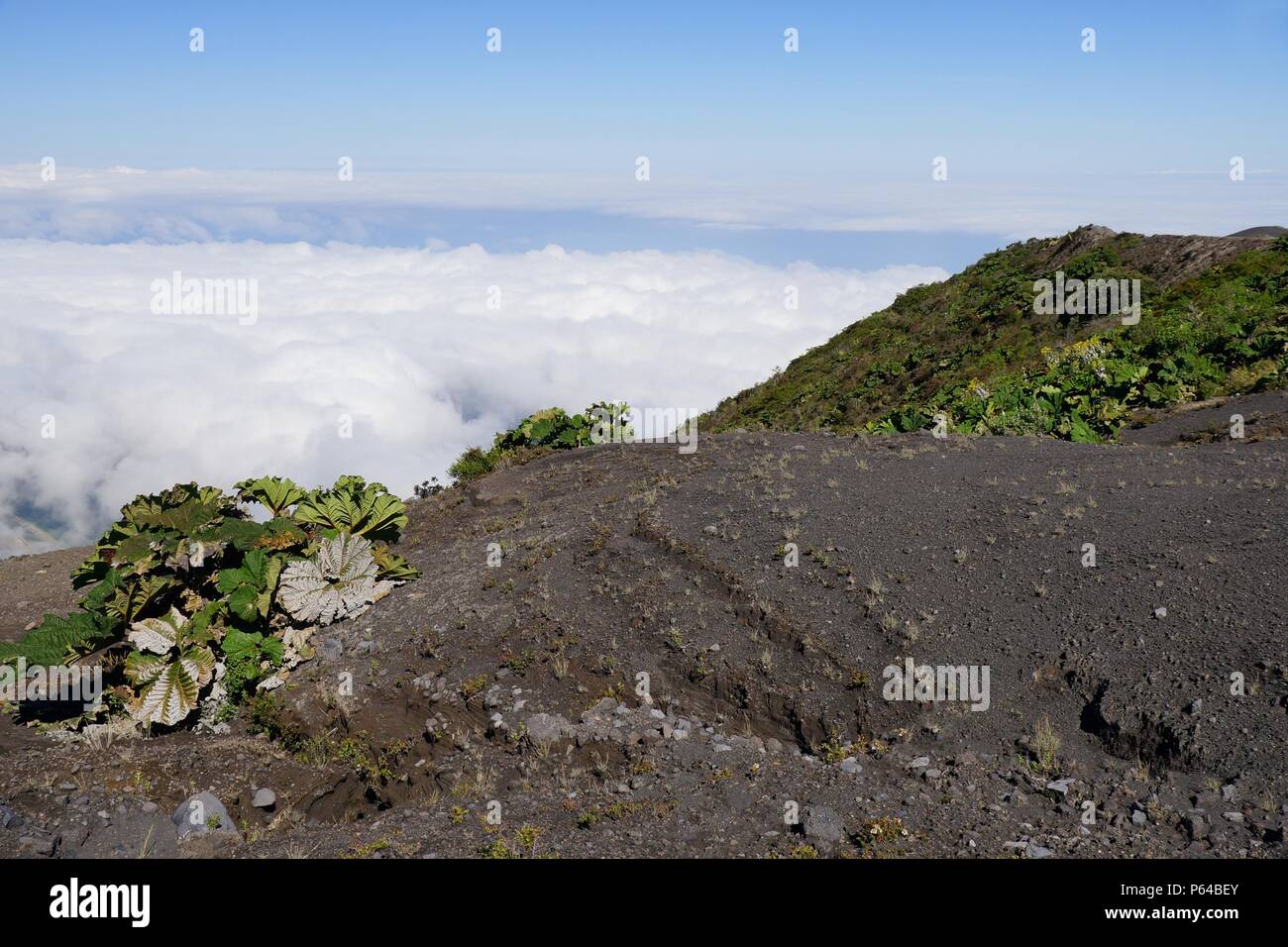 Irazu Volcano, Cartago Province, Costa Rica Stock Photo - Alamy