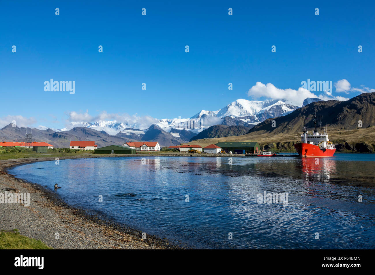 King edward point british hi-res stock photography and images - Alamy