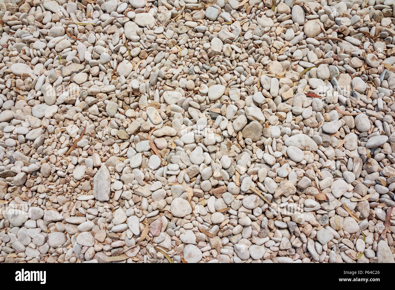 Small naturally polished white rock pebbles background. White pastel ...