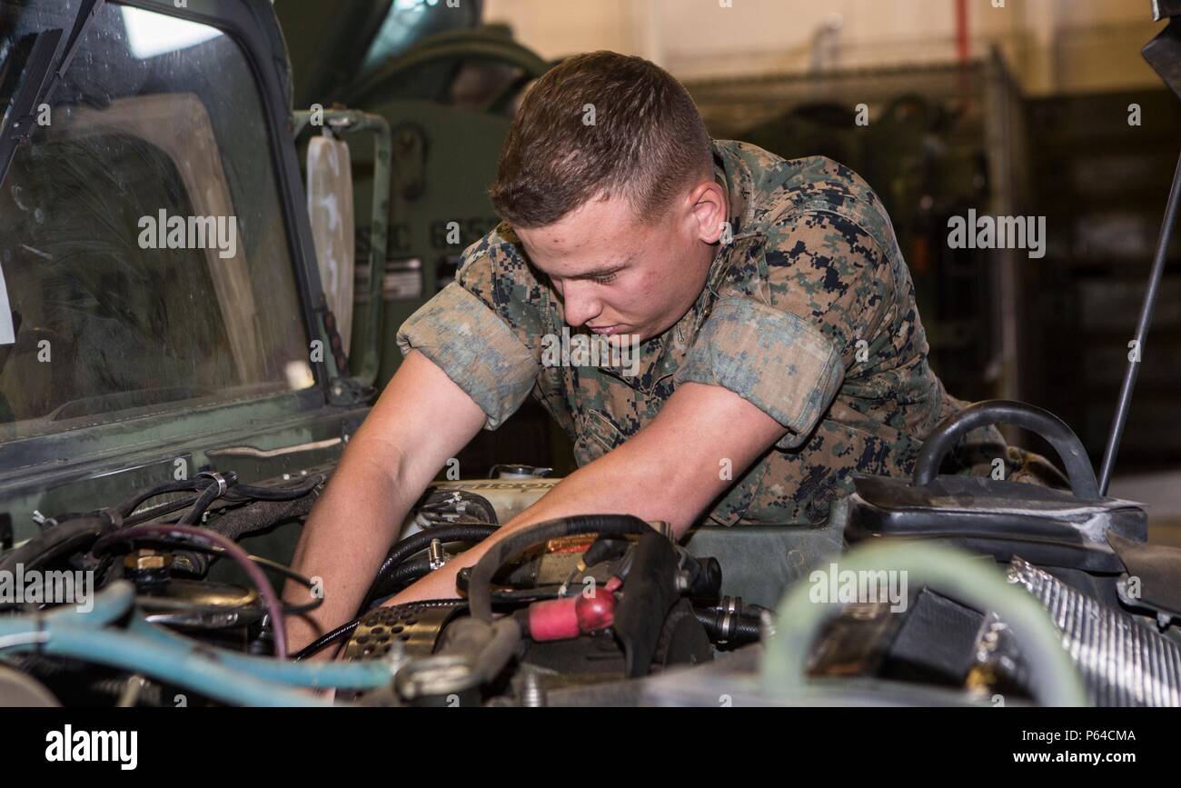 Lance Cpl. Duncan A. Harris, a Marine with Company C, 6th Engineer ...
