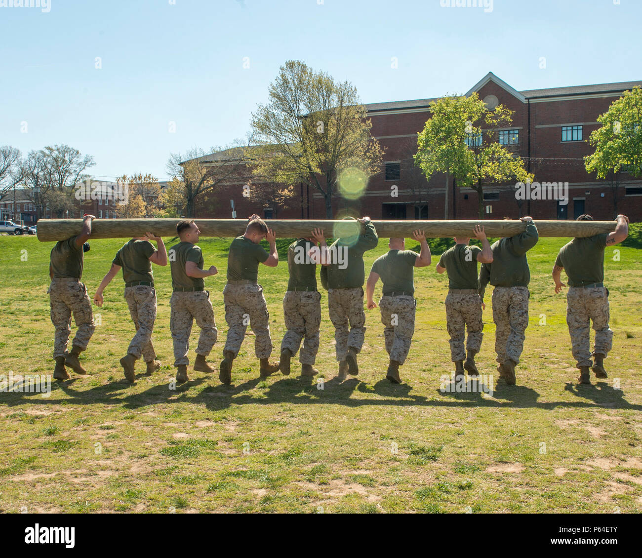 U.S. Marines participate in a log race during the Marine Corps Base ...