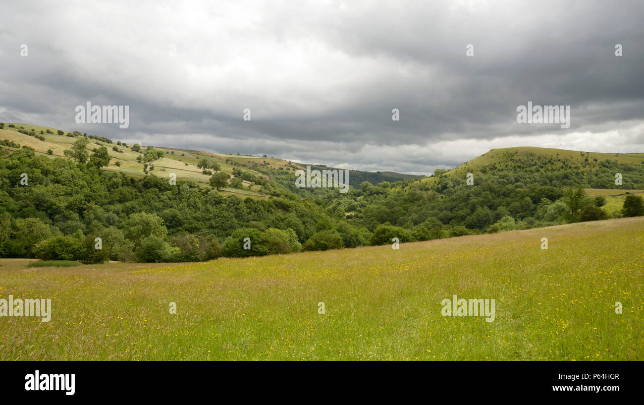 Manifold Valley, seen from near Grindon, Peak District Stock Photo - Alamy