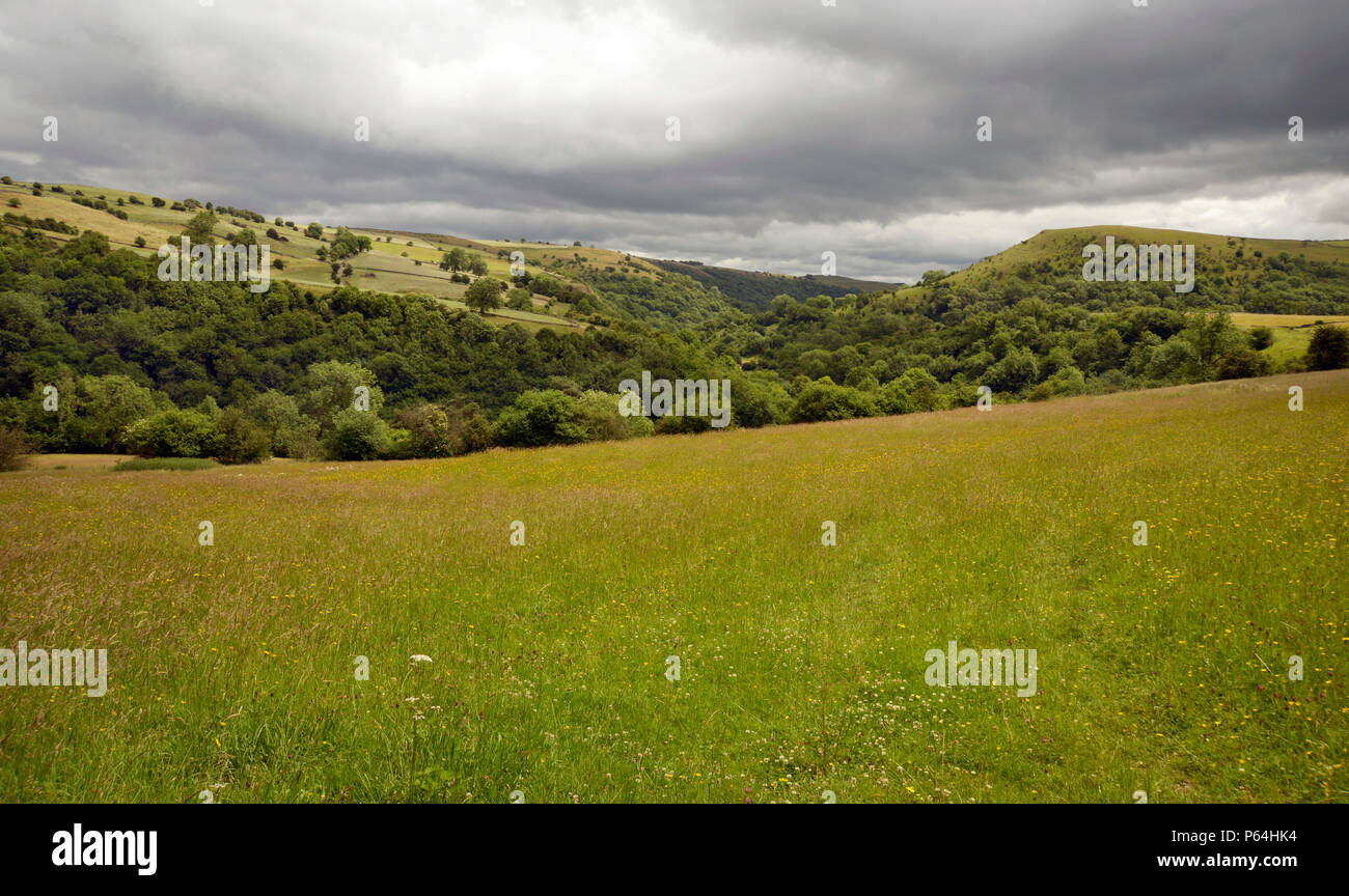 Grindon staffordshire hi-res stock photography and images - Alamy