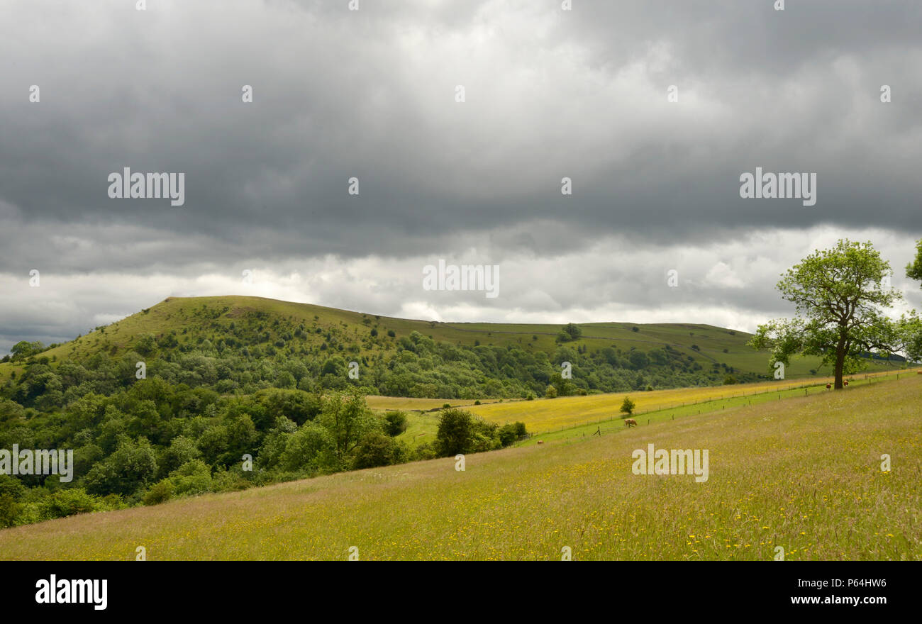 Manifold Valley, seen from near Grindon, Peak District Stock Photo - Alamy