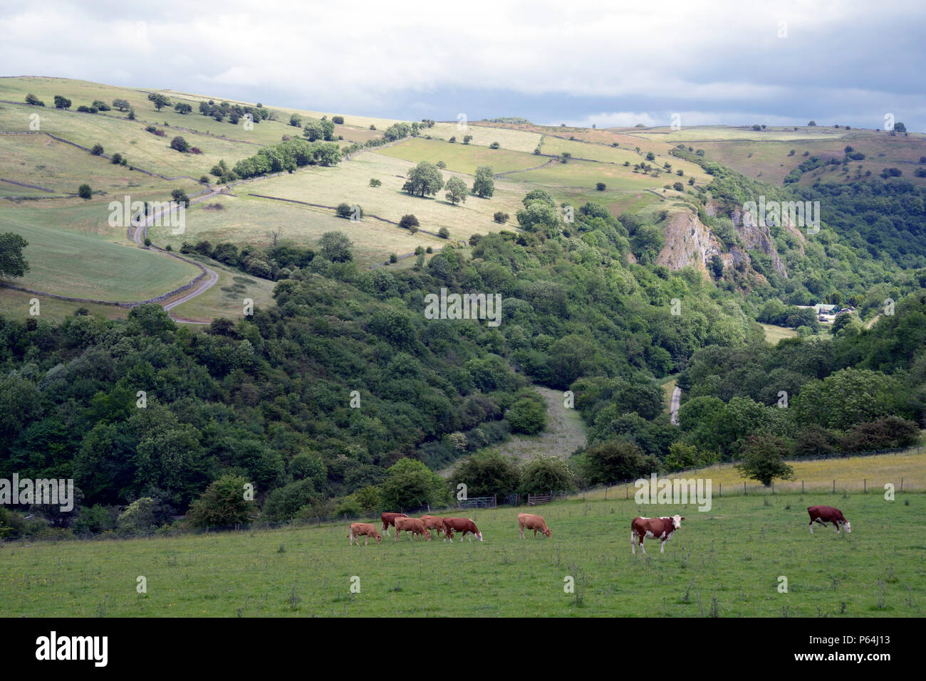 Manifold Valley, seen from near Grindon, Peak District Stock Photo - Alamy