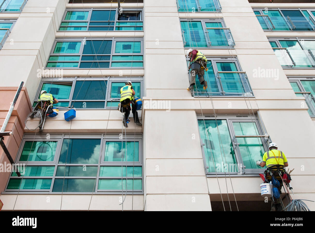 Abseiling window cleaning team Stock Photo - Alamy